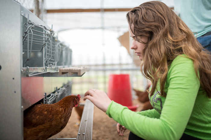 Tech awarded grant to build Center for Poultry Science Excellence and ...